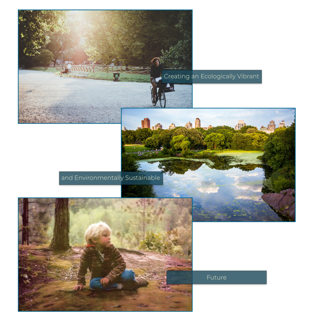 FFTE - Fund For The Environment